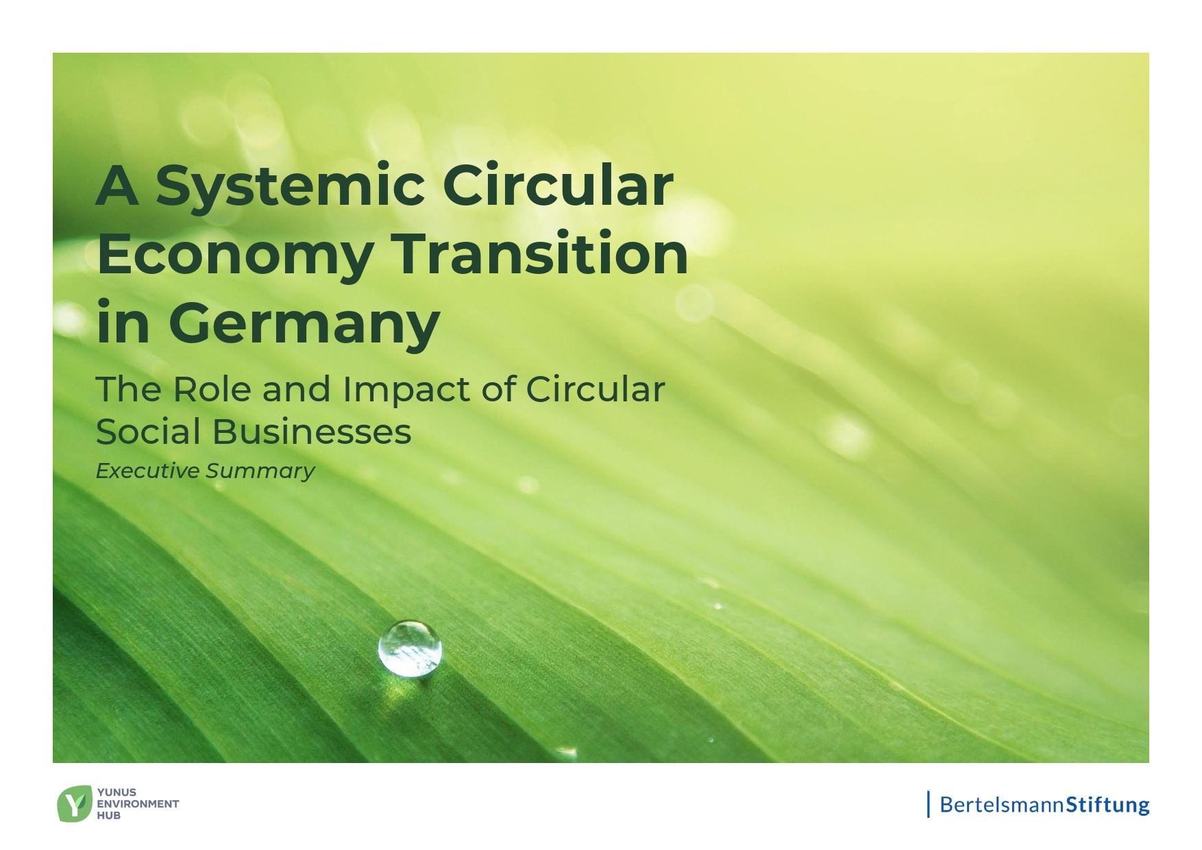 Executive Summary: A Systemic Circular Economy Transition in Germany