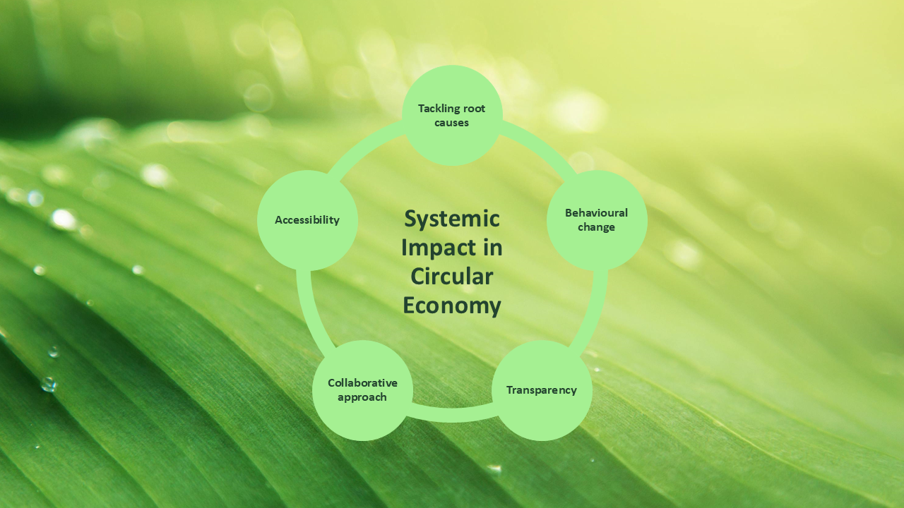 Executive Summary: A Systemic Circular Economy Transition in Germany
